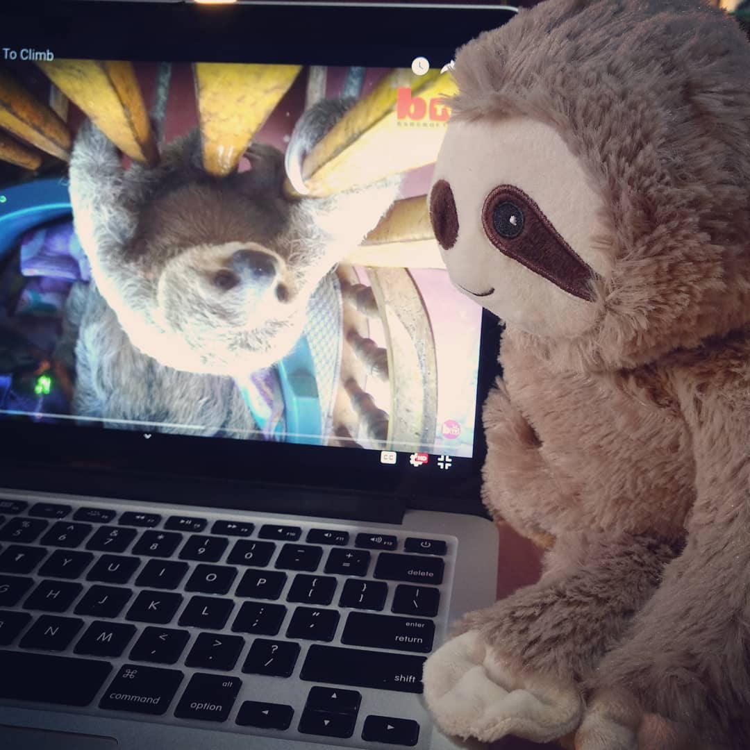 Warmies Sloth – Jules Enchanting Gifts