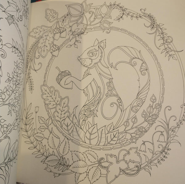 keepers of the enchanted forest coloring book